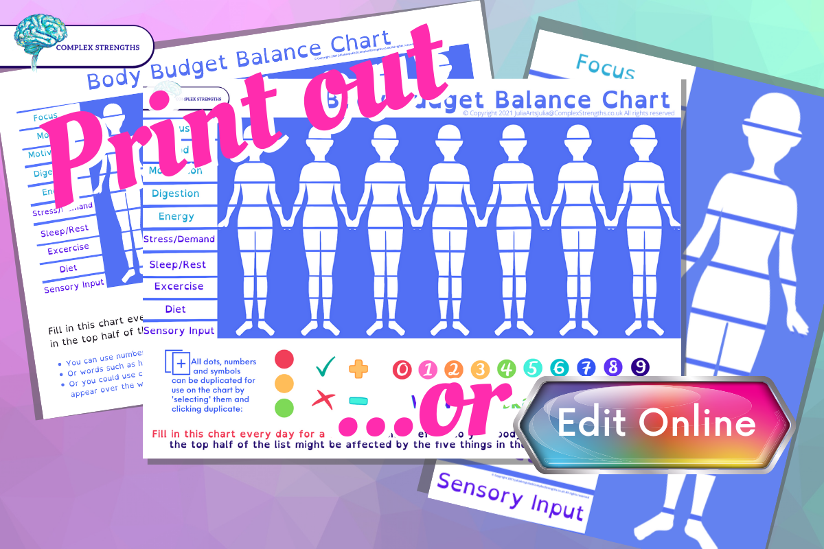 Body Budget Diary Chart