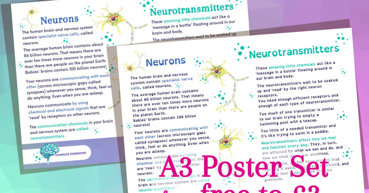 A3 Neurons and Neurotransmitters poster