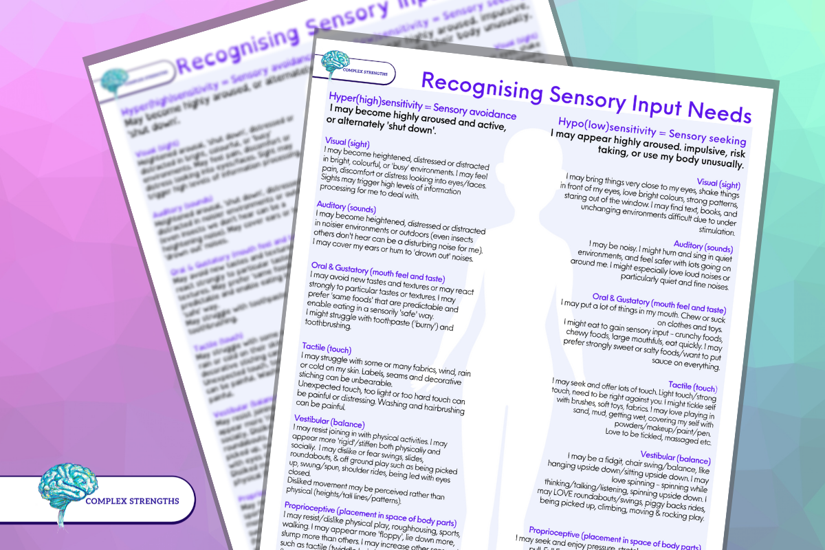 Sensory Processing Bundle