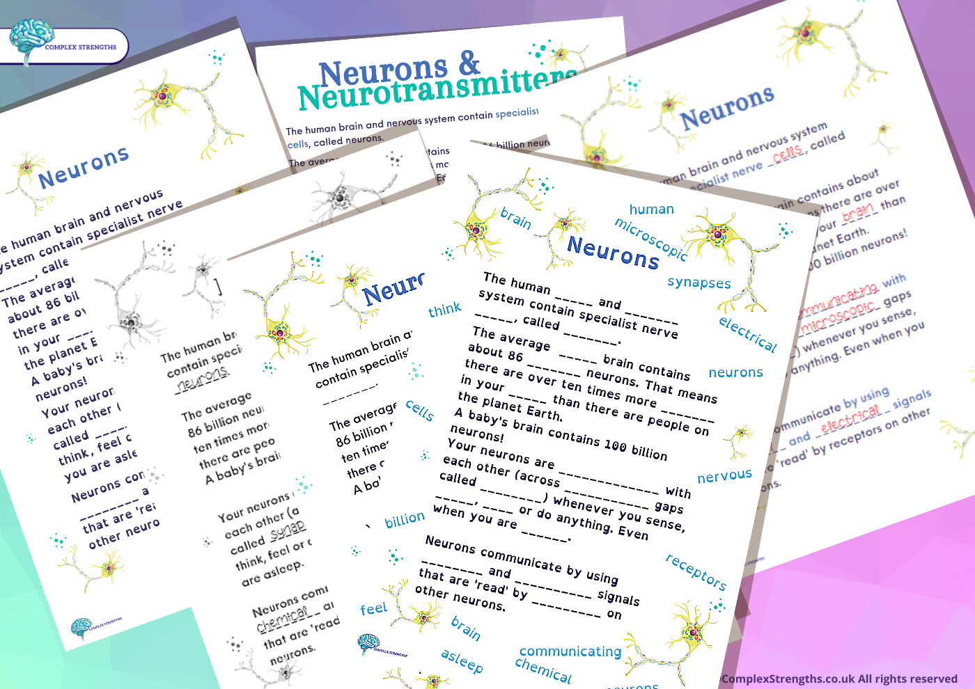 Neurons & Neurotransmitters Bundle